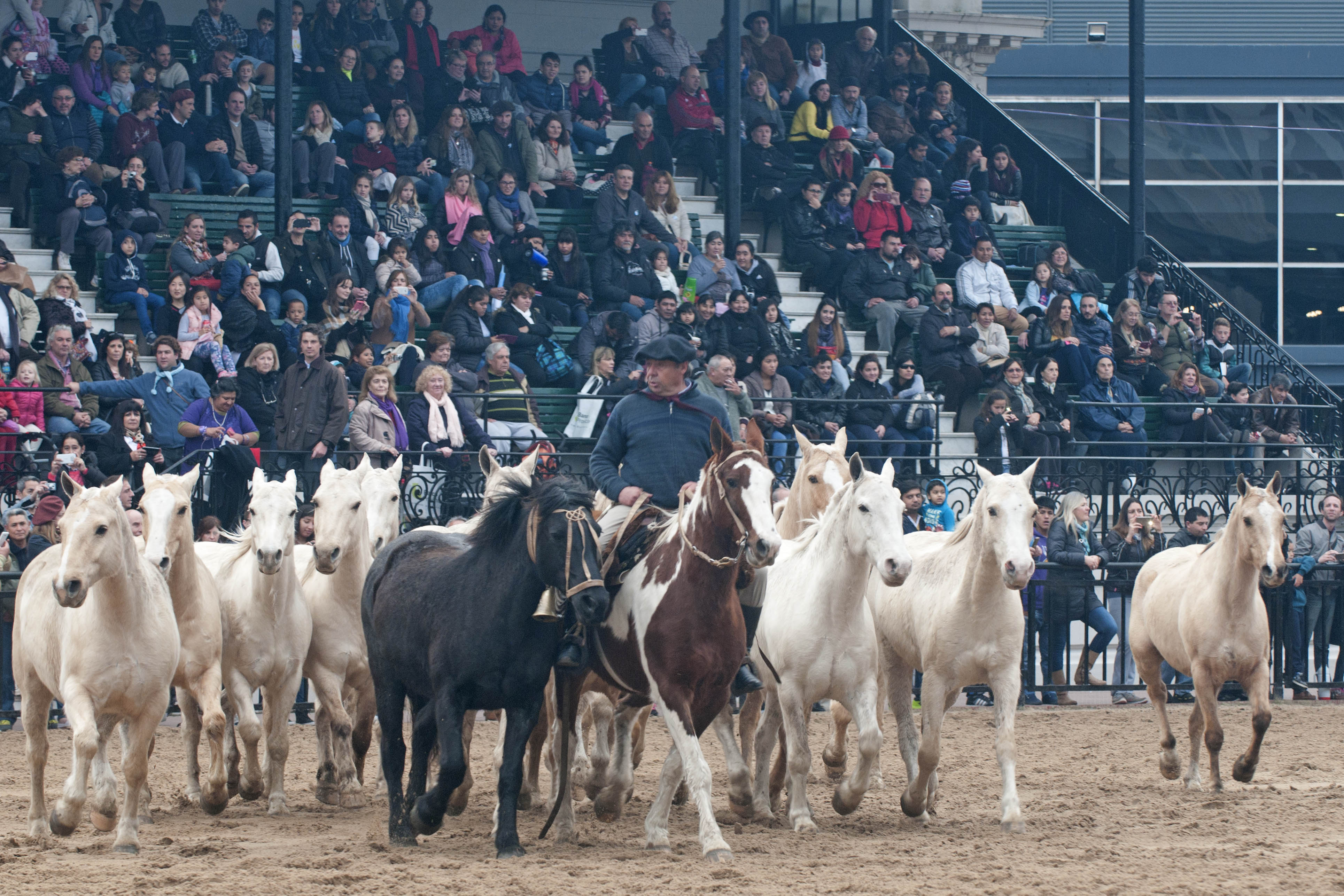 La Sociedad Rural Argentina celebró sus 150 años con un Día de Campo ...